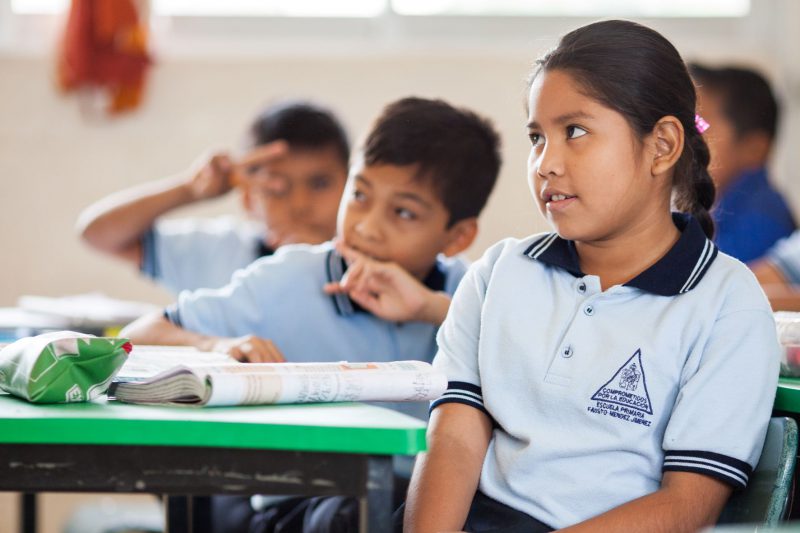 6 acciones para garantizar el acceso a la educación – BLOG CONEVAL